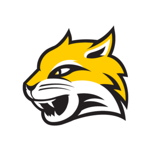 Wayne State College | Clark Creative Group